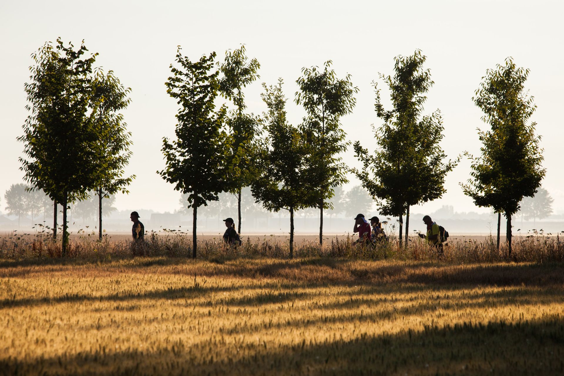 Elstars Lingezegen Najaarstocht – Landerij De Park